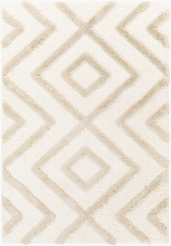 Hudson Shag HDS-2309 Machine Woven Rug – Rug Outlet USA